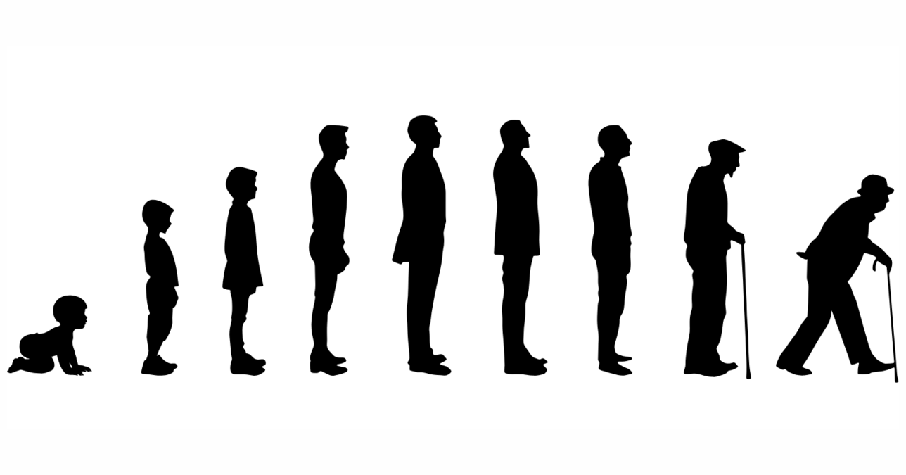 Overlapping Generations (OLG) Model | INOMICS